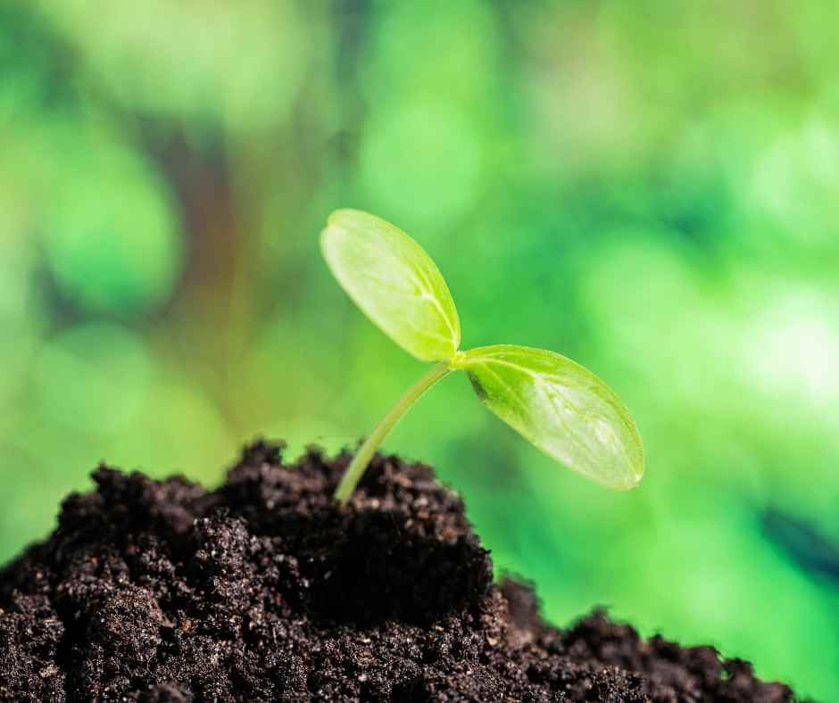Soil Health Glossary