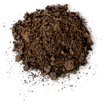 Technology Page | Biome Makers