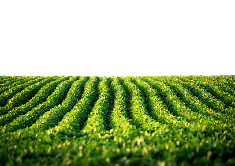 BeCrop Solutions | Biome Makers