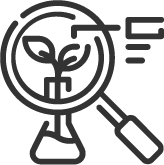 BeCrop Test | Biome Makers