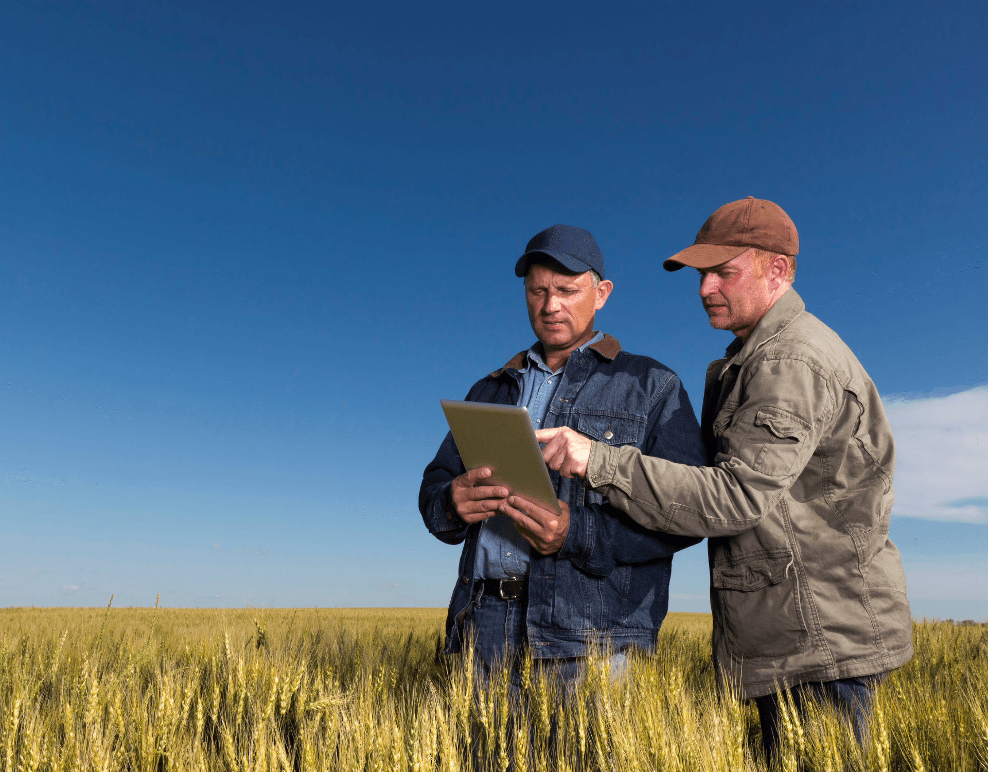 BeCrop Farm | Biome Makers