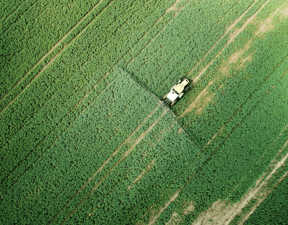 BeCrop Farm | Biome Makers