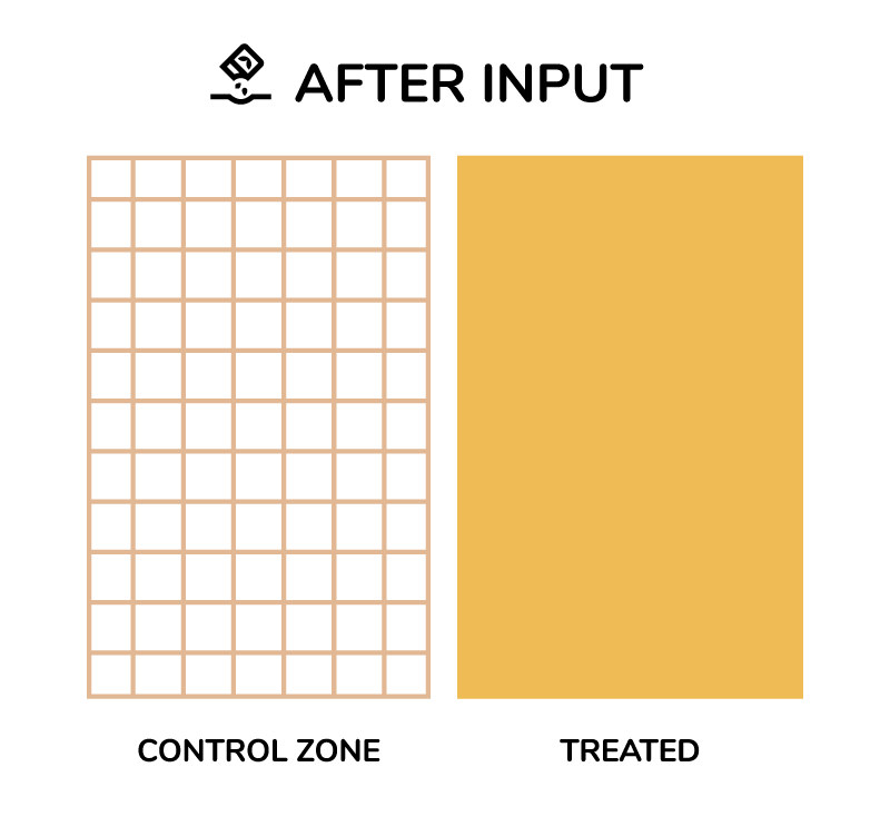 BeCrop Trials | Biome Makers