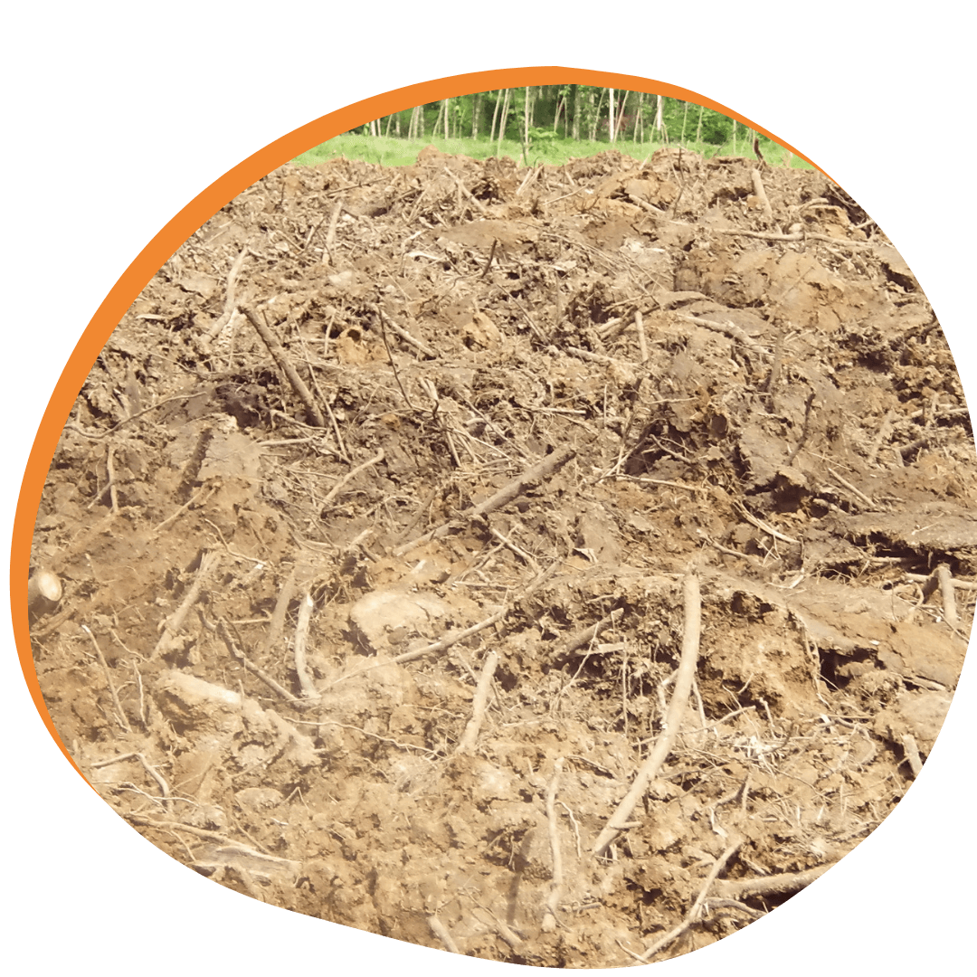 Dimensions of Soil Health - Part 2